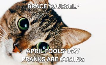 30 April Fools' Memes: Perfect For Pranksters & April 1 Jesters ...