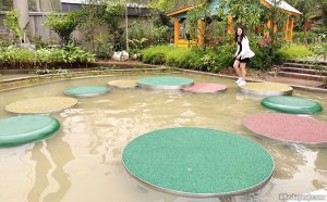 Ultimate Guide To Bird Paradise Playgrounds & Playspots - Little Day Out