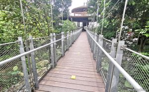 Ultimate Guide To Bird Paradise Playgrounds & Playspots - Little Day Out