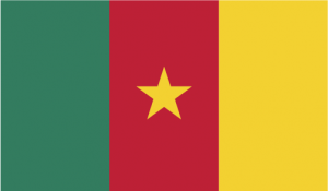 Free Cameroon Flag Colouring Page - Little Day Out
