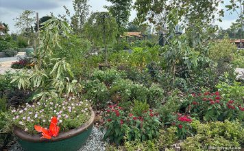 10 Chinese Garden Highlights Across The White Rainbow Bridge, Including ...