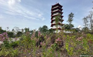 10 Chinese Garden Highlights Across The White Rainbow Bridge, Including ...