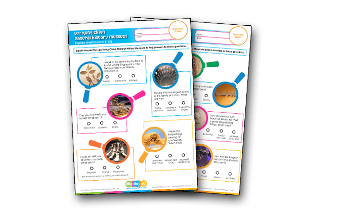 Lee Kong Chian Natural History Museum: A Window to the Natural World ...