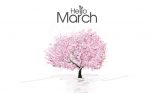 25+ March Jokes To Add A Spring To Your Step - Little Day Out
