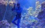 Singapore Oceanarium At RWS: An Underwater World Of Wonder At Resort ...