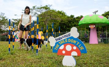 Paws & Play: Singapore's Largest Outdoor Dog Playground Is Now Open ...