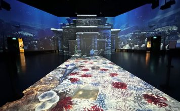 Ultimate Guide To Science Centre Singapore: Fun Explorations & Learning ...
