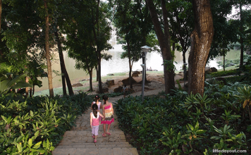 Essential Tips for a Successful Day Out - Little Day Out