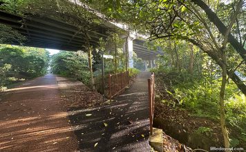Anak Bukit Viaduct: Bird Murals Along The Rail Corridor Under The ...
