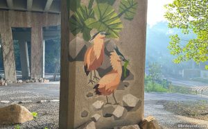 Anak Bukit Viaduct: Bird Murals Along The Rail Corridor Under The ...