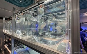 Aquarist Lab: Take A Look Behind-The-Scenes At S.E.A. Aquarium - Little ...