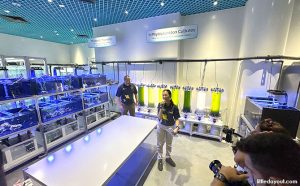 Aquarist Lab: Take A Look Behind-The-Scenes At S.E.A. Aquarium - Little ...