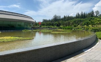 How To Get To Marina East Desalination Plant & Green Roof - Little Day Out