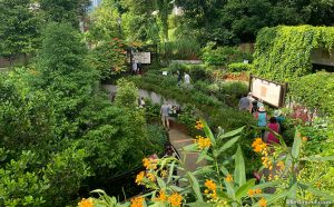 Fort Canning Spice Gallery & Garden: 180 Varieties Of Plants, Including ...