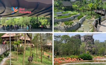 Useful Guide To Bird Paradise: Walk-In Aviaries, Presentations, Tips ...