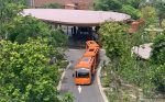 Amazing Guide To Bird Paradise [Updated 2025]: Walk-In Aviaries ...