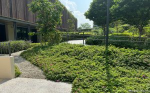 Bukit Canberra: 11 Things To Do At Sembawang's Integrated Sport ...
