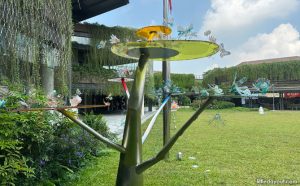 Bukit Canberra: 11 Things To Do At Sembawang's Integrated Sport ...