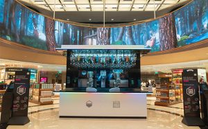 Changi Airport Terminal 2: Food, Shops & Attractions [Updated 2025 ...