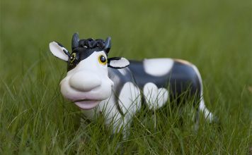 50 Best Cow Jokes That Will Moo-ve You To Laughter - Little Day Out