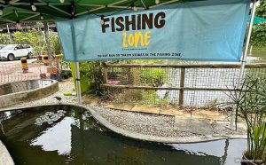 Dig Dig Land: Construction Playground With Kid-Sized Excavators ...