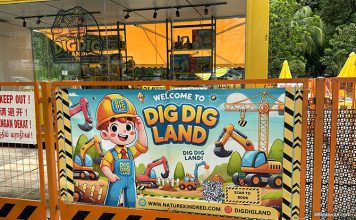 Dig Dig Land: Construction Playground With Kid-Sized Excavators ...