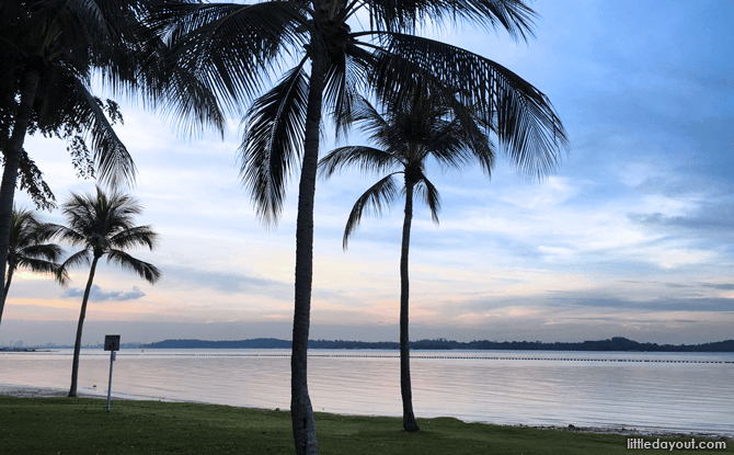 16 Reasons Why Pasir Ris Park Is Awesome For A Day Of Exploration ...