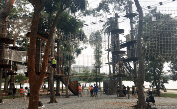 10 Things to Know Before Visiting Forest Adventure - Little Day Out