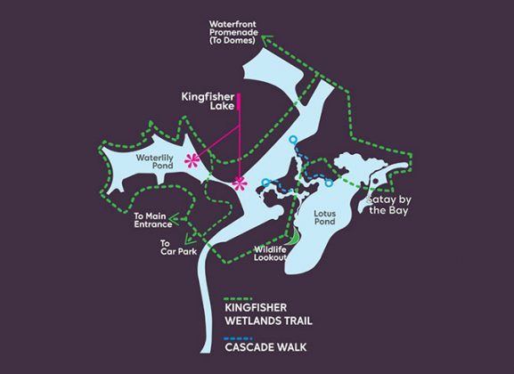 Kingfisher Wetlands At Gardens By The Bay: Wildlife Sanctuary In The ...