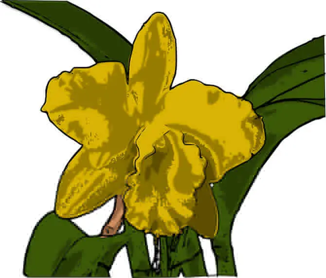 Ways To Hang Out Online With Friends - Little Day Out