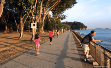 Labrador Nature Park: One Park, Two Worlds & Keppel Coastal Trail ...