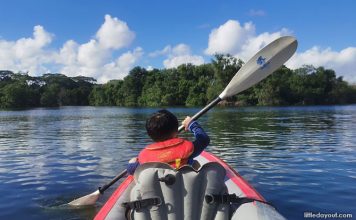 8+ Family Friendly Sports To Play & Stay Active Together - Little Day Out