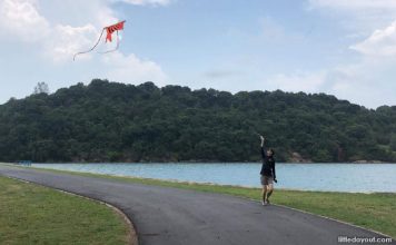 8+ Family Friendly Sports To Play & Stay Active Together - Little Day Out