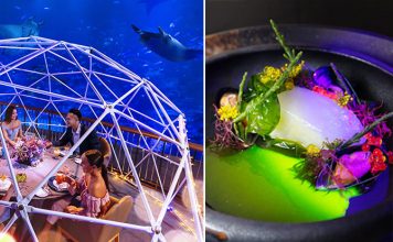Aqua Gastronomy: Dine In The Company Of 100,000 Aquatic Creatures At S ...
