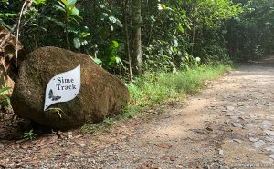 MacRitchie Reservoir Trail: Trekking Around The Central Catchment ...