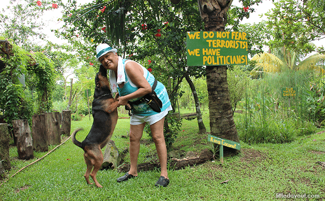 Bollywood Veggies Farm and the Warrior Queen - Little Day Out