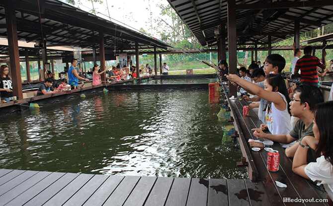 Prawning Places In Singapore: Where To Go To Catch Prawns - Little Day Out