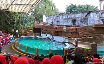 East Java Holiday With Kids - 6 Day Itinerary - Little Day Out