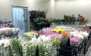 Far East Flora HQ At Clementi Road: A Plant Paradise - Little Day Out