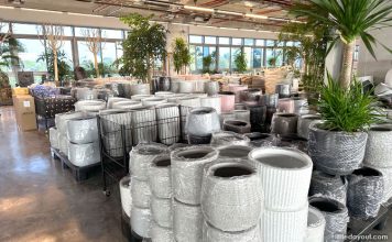 Far East Flora HQ At Clementi Road: A Plant Paradise - Little Day Out