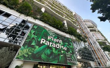 Far East Flora HQ At Clementi Road: A Plant Paradise - Little Day Out