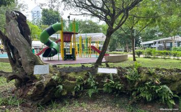 Firefly Park: Playgrounds & Green Space for All - Little Day Out