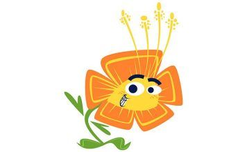 81 Funny Flower Jokes For A Blooming Good Laugh - Little Day Out