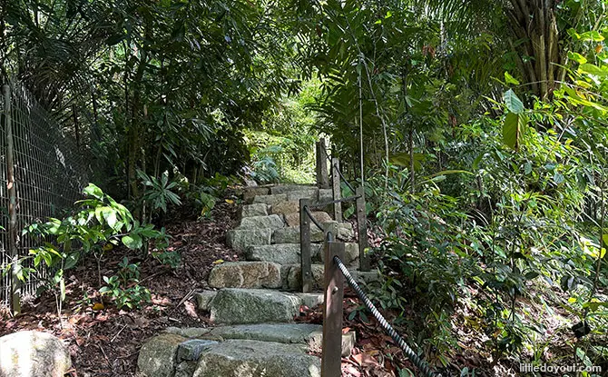 Gallop Extension, Singapore Botanic Gardens Guide: 7 Things To See & Do ...