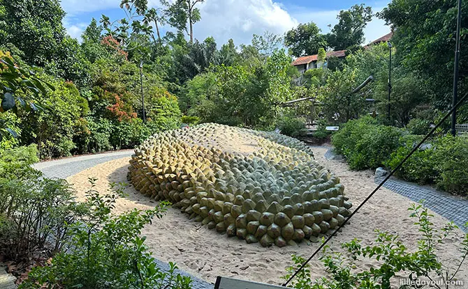 Gallop Extension, Singapore Botanic Gardens Guide: 7 Things To See & Do ...