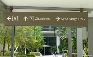 Geneo Mall: Food, Shops & Cathedral-Like Atrium At Singapore Science ...