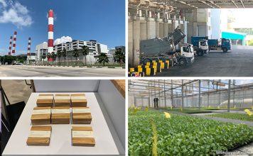 Go Green SG: Activities, Tours & Programmes In July To Promote More ...