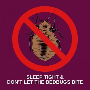 30 Best Good Night Memes To Share With Your Friends & Family - Little ...