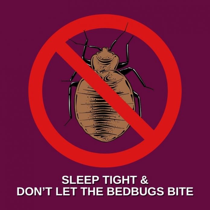 30 Best Good Night Memes To Share With Your Friends & Family - Little ...