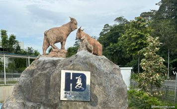 Hay Dairies Goat Farm: Take Your Kids To Meet The Kids - Little Day Out